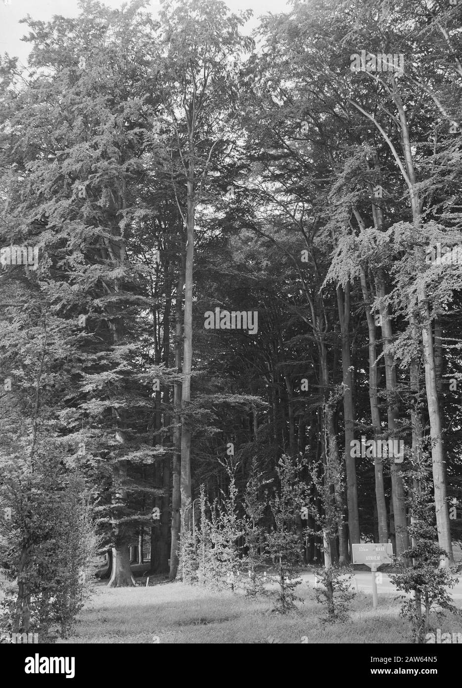 Middachter allee hi-res stock photography and images - Alamy