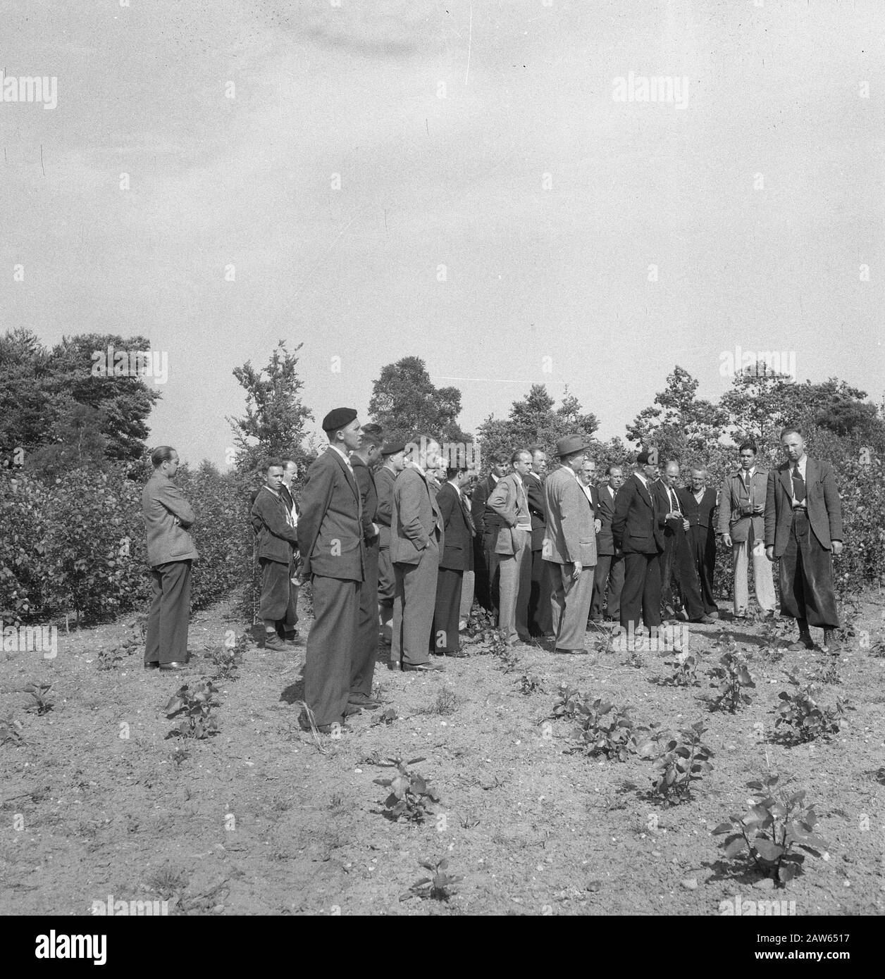 men, trees, conversations, explanations Date: undated Keywords: trees ...