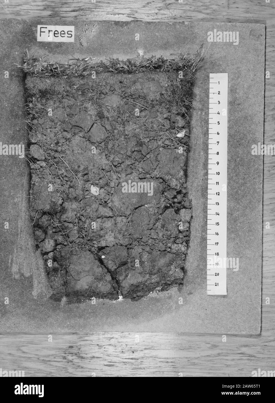 Nylan hi-res stock photography and images - Alamy