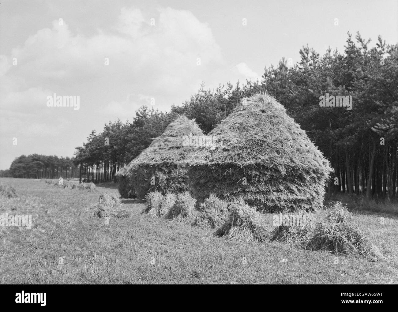 mining, sowing and harvesting crops, hay Date: July 1957 Location ...