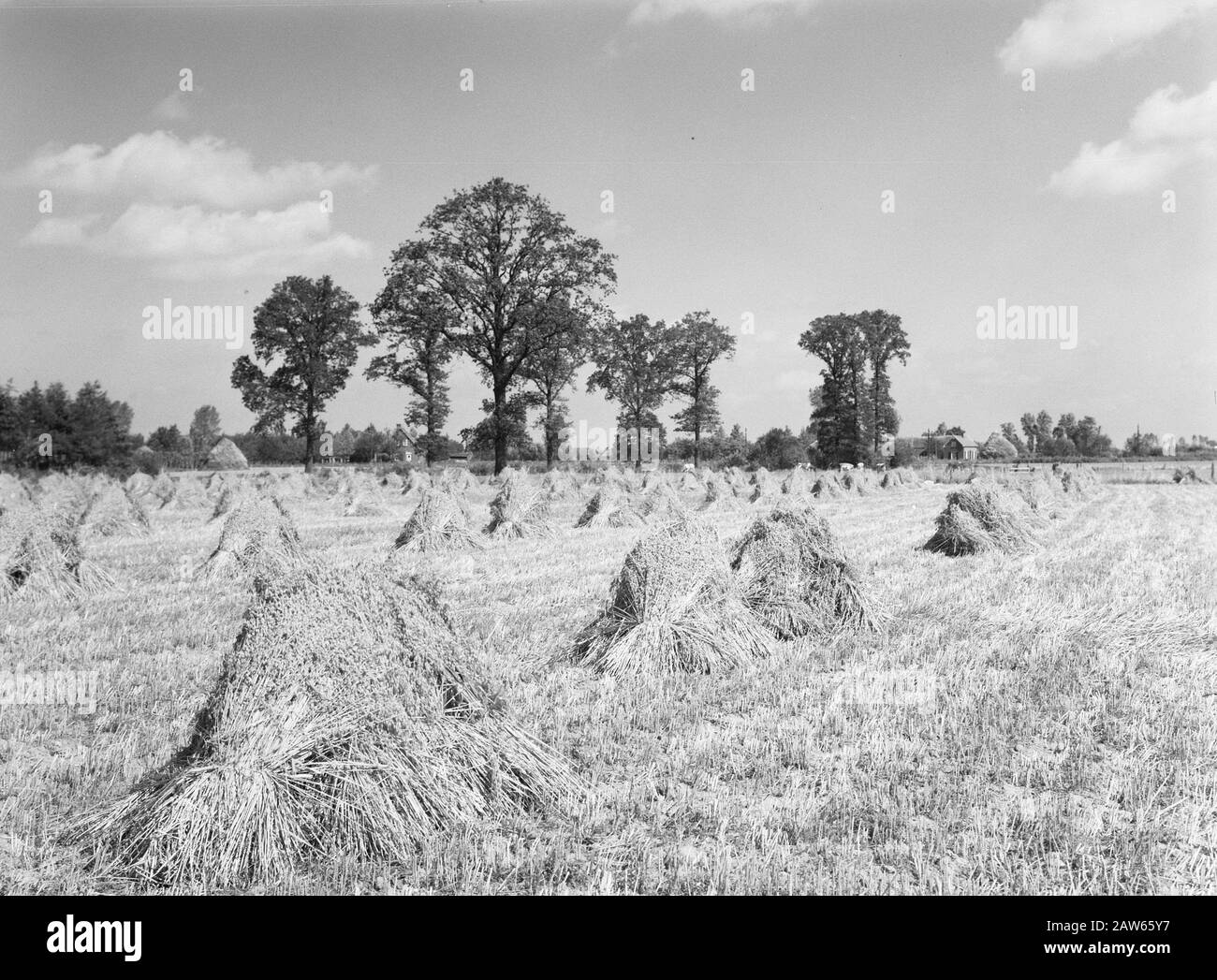 mining, sowing and harvesting crops, hay, Loil Date: August 1957 ...