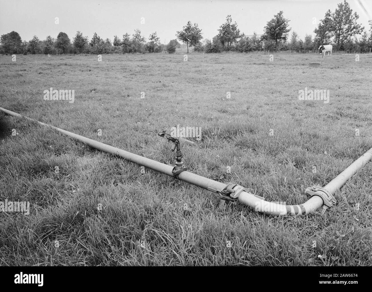 Irrigation pipes Black and White Stock Photos & Images - Alamy