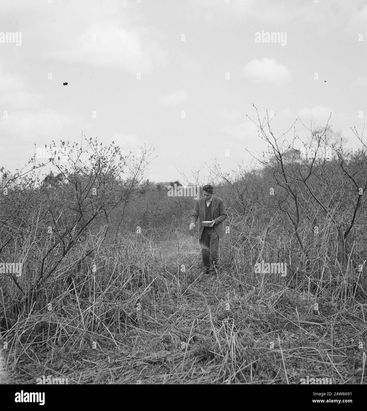 men, shrubs, grasses, trees, rangelands Date: undated Keywords: trees ...