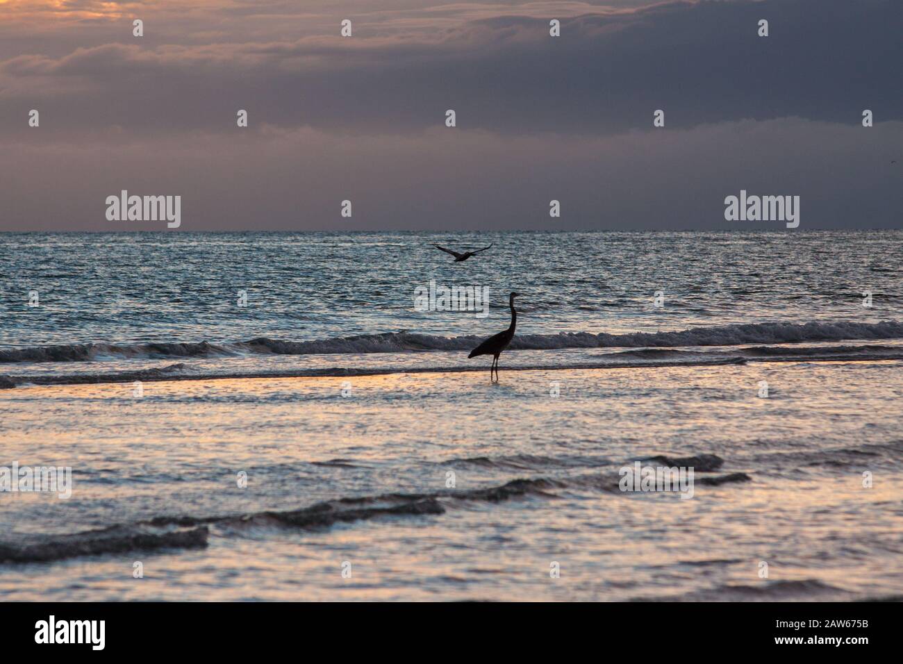 Dusk on the Gulf of Mexico Stock Photo - Alamy