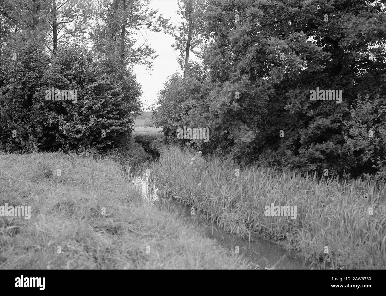 normalization of streams, digging and filling in trenches, laying ...