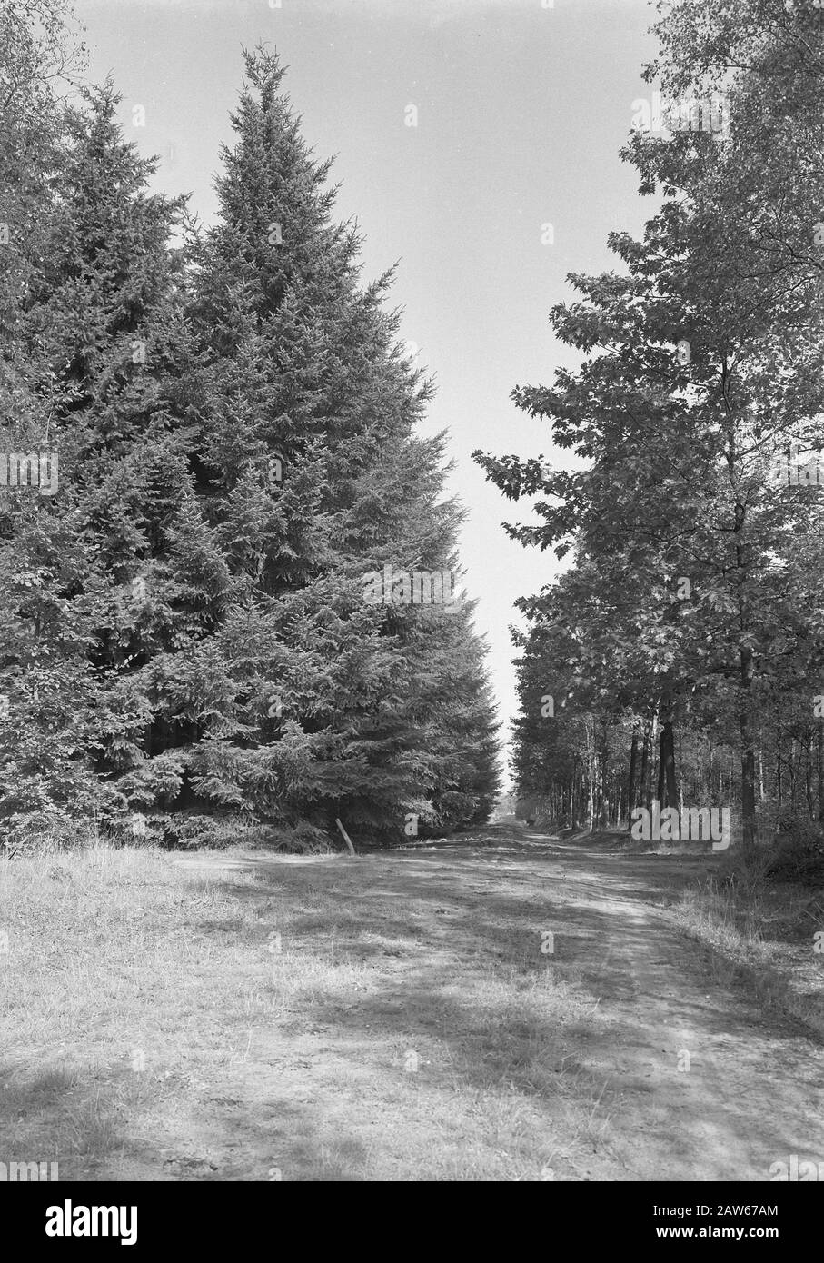 800 hectares of land hi-res stock photography and images - Alamy