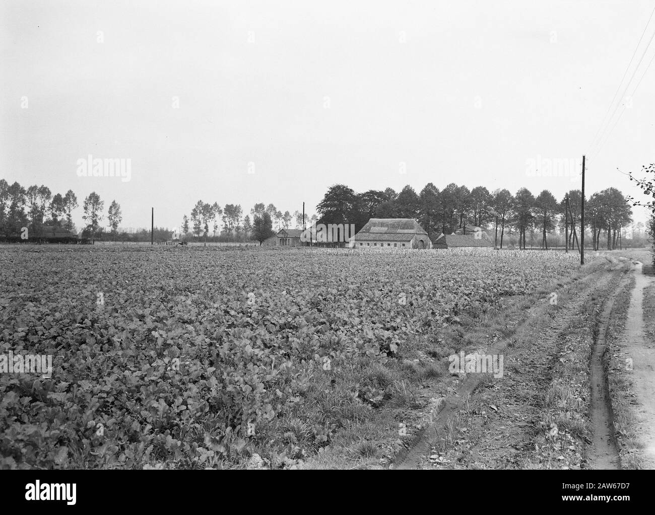Natural transitions Black and White Stock Photos & Images - Alamy