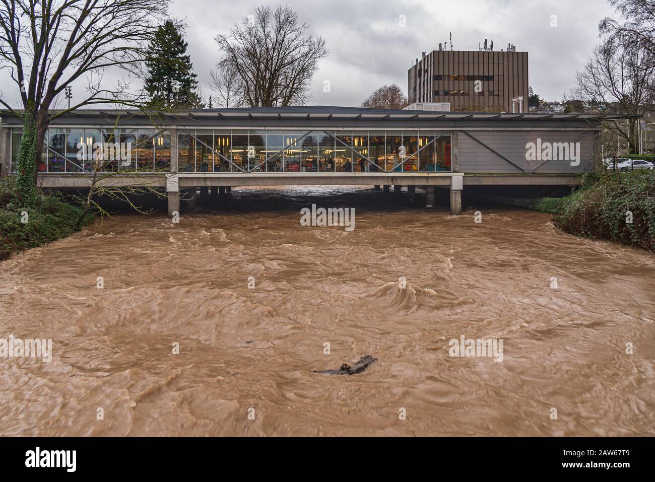 The Cedar River nears flood stage through downtown Renton after many ...