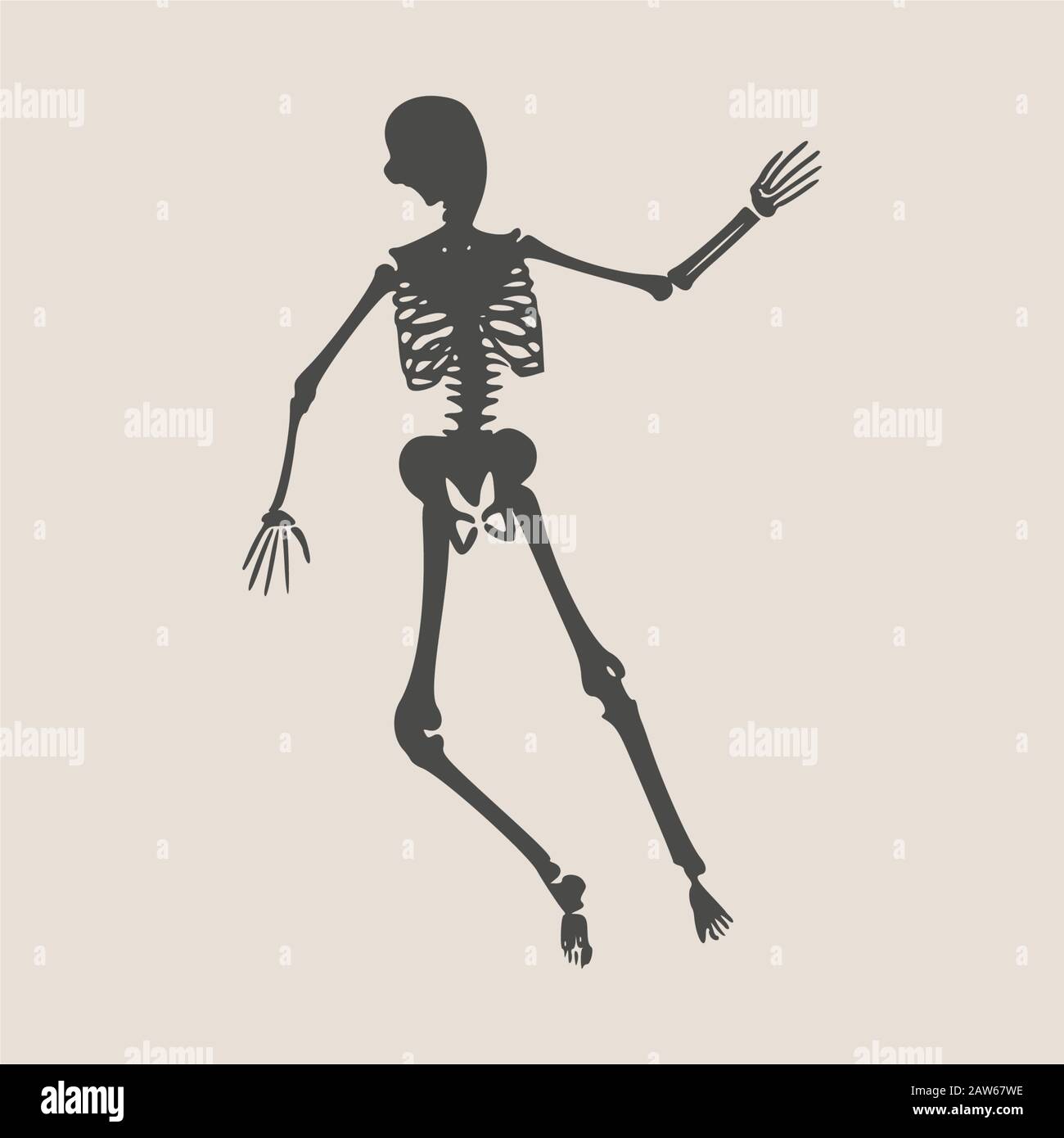 Halloween human skeleton Stock Vector Image & Art - Alamy