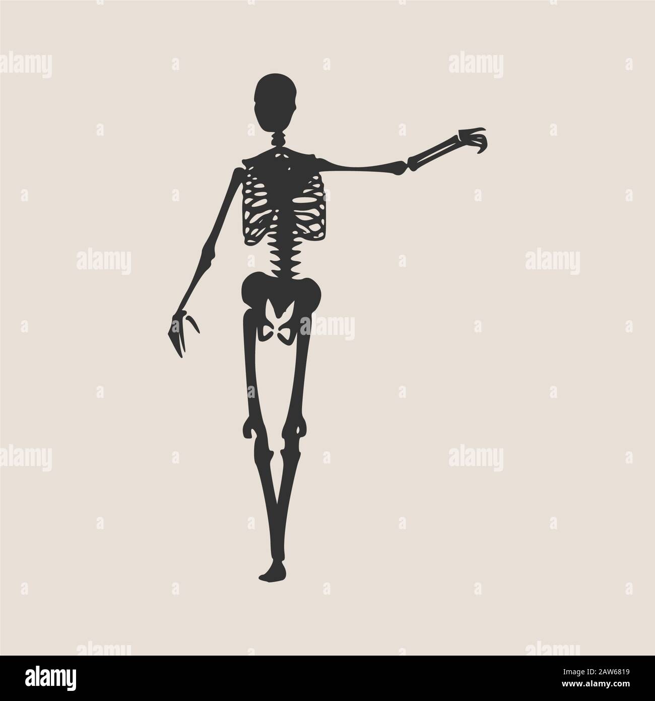 Halloween Human Skeleton Stock Vector Image And Art Alamy