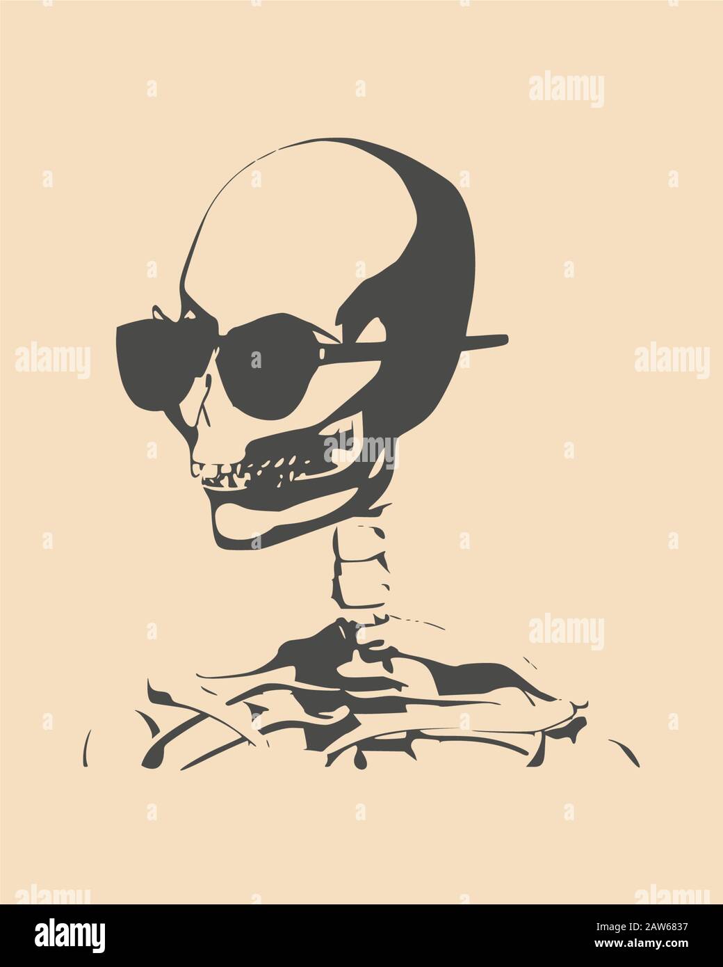 Anatomic illustration of skull Stock Vector Image & Art - Alamy