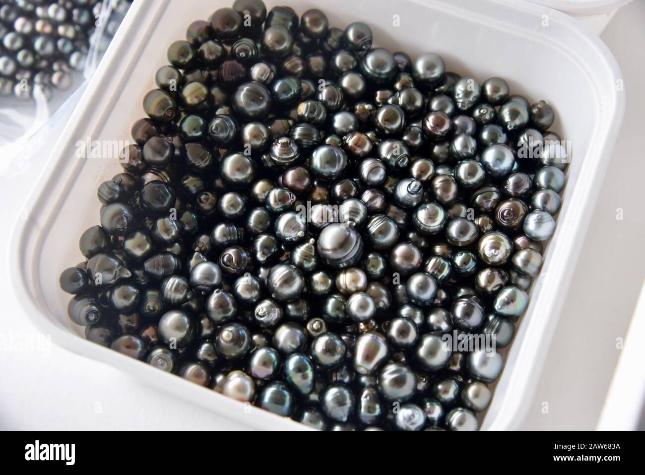 Container of harvested black pearls at a French Polynesian pearl farm ...