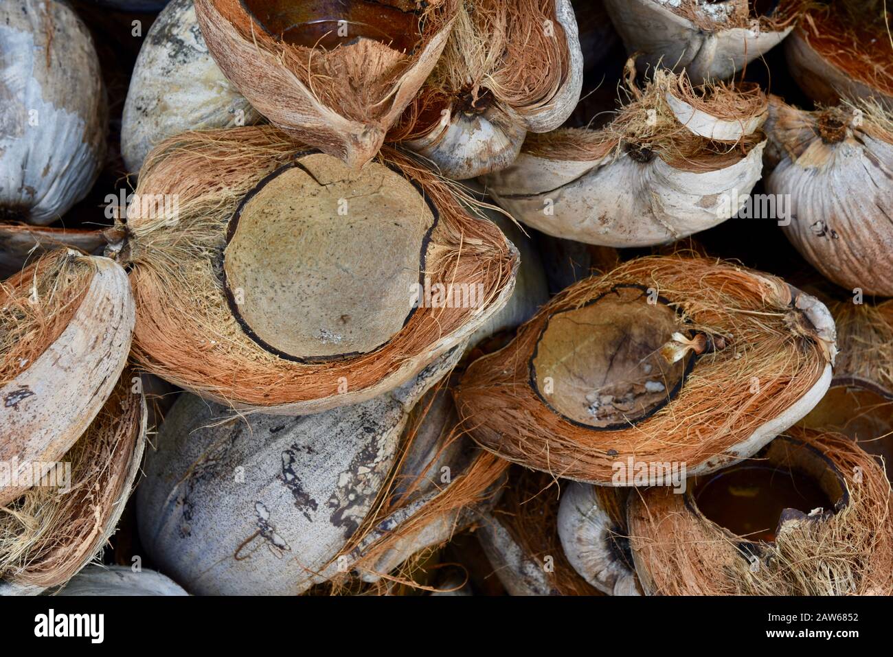 Empty coconut shell pile hi-res stock photography and images - Alamy
