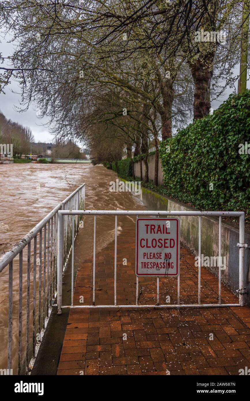 The Cedar River nears flood stage through downtown Renton after many ...