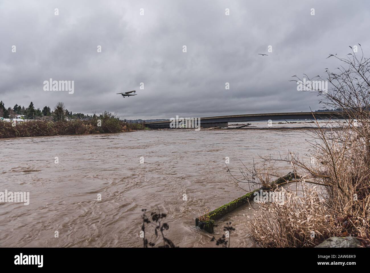 The Cedar River nears flood stage through downtown Renton after many ...
