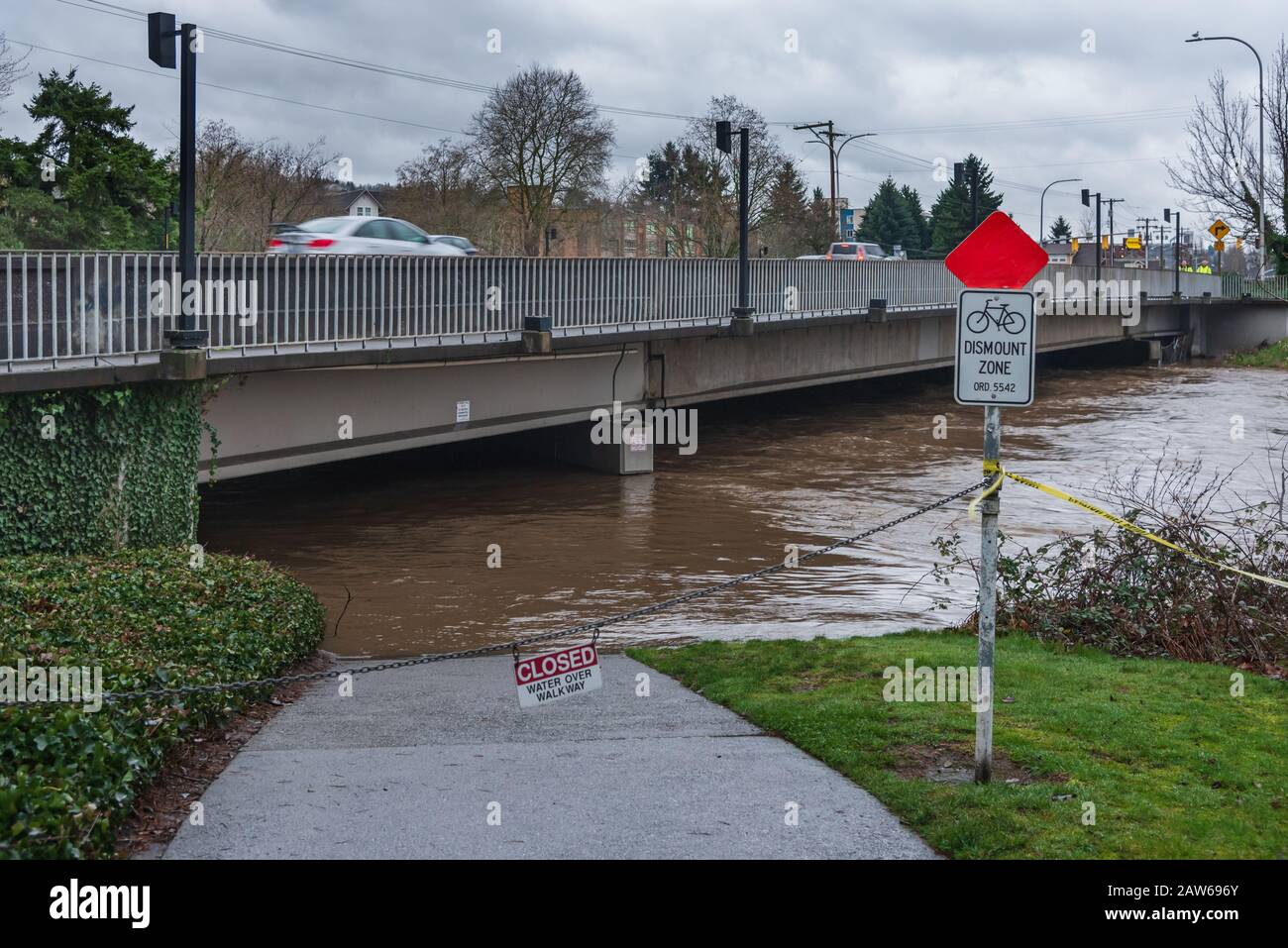 The Cedar River nears flood stage through downtown Renton after many ...