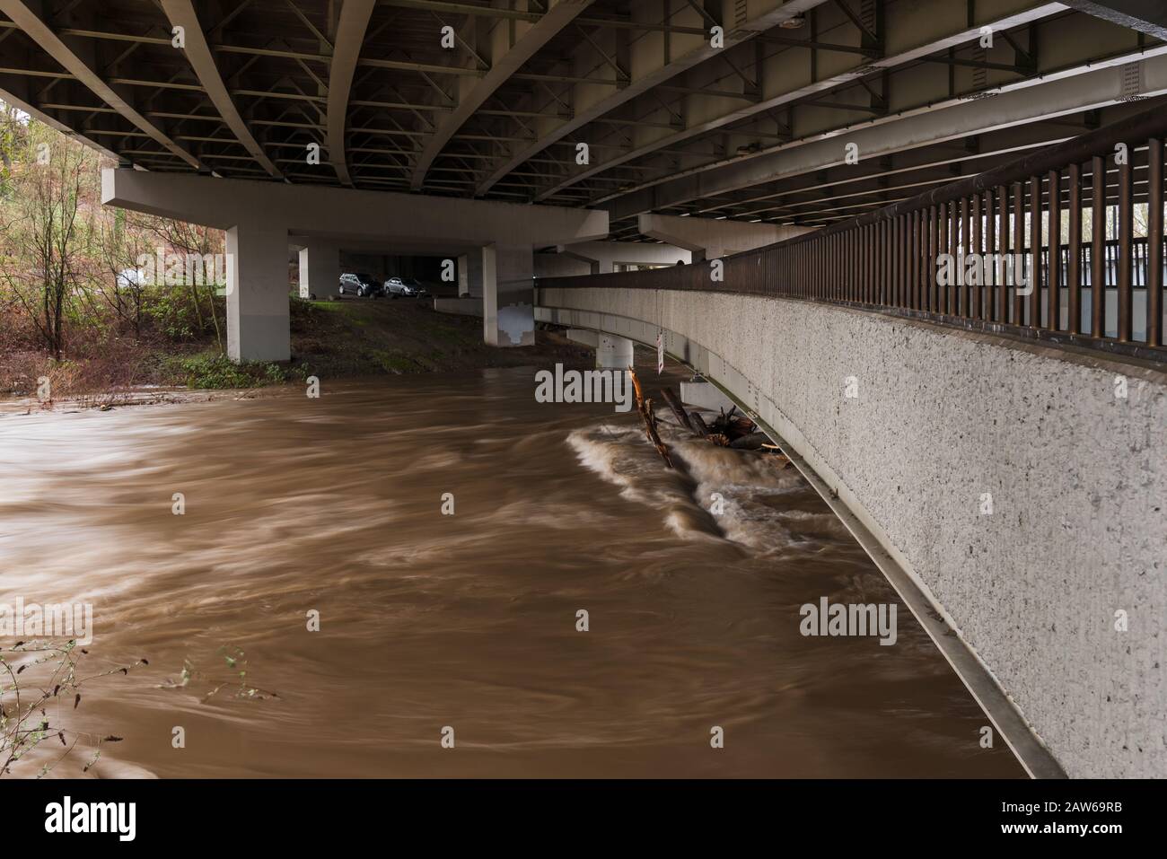 The Cedar River nears flood stage through downtown Renton after many ...