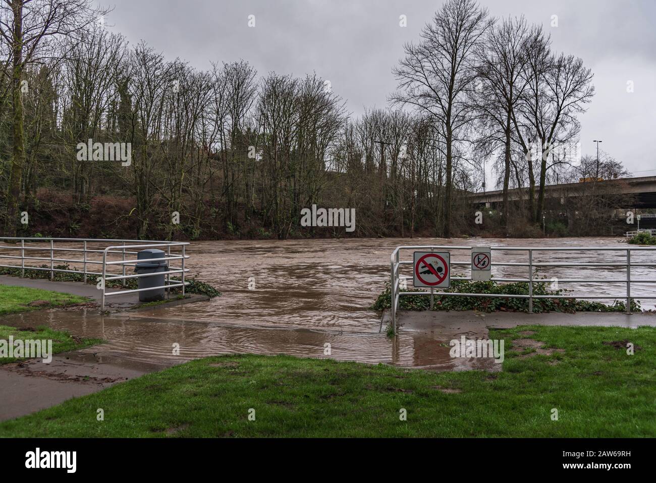 The Cedar River nears flood stage through downtown Renton after many ...