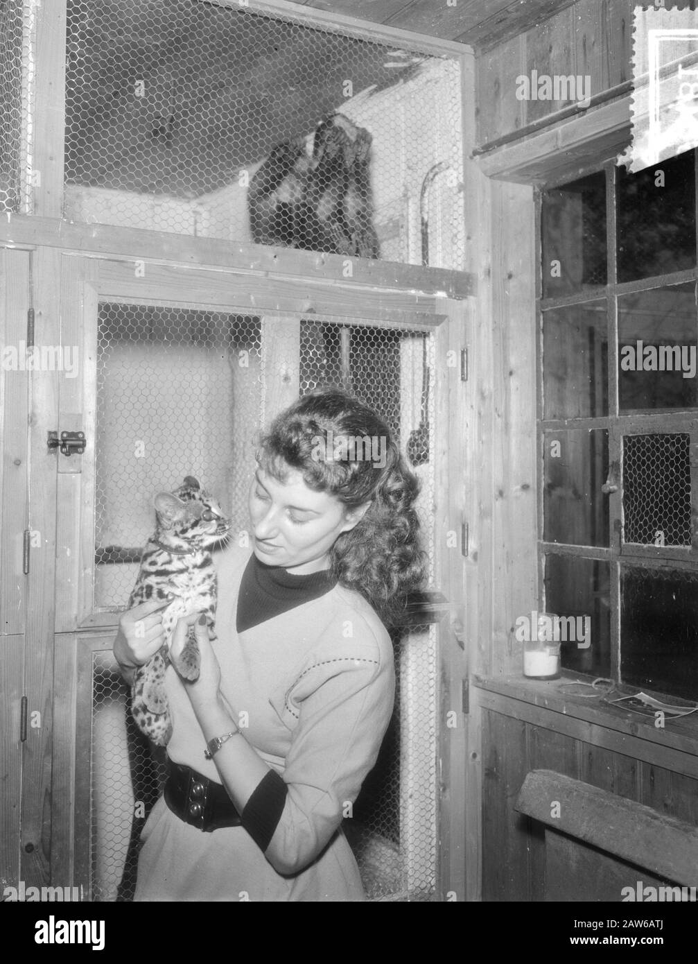 Play on the name Black and White Stock Photos & Images - Alamy