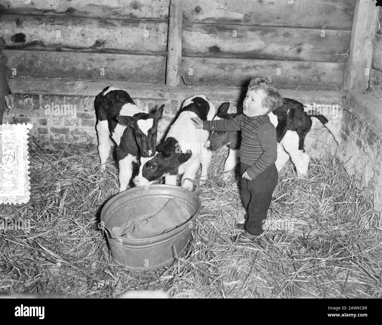 Triplets born hi-res stock photography and images - Alamy