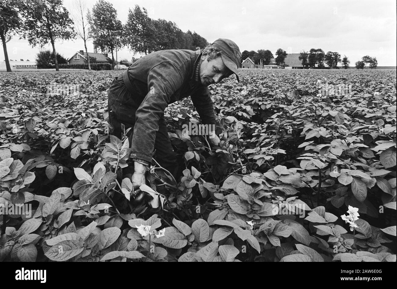 Rainfall protection Black and White Stock Photos & Images - Alamy