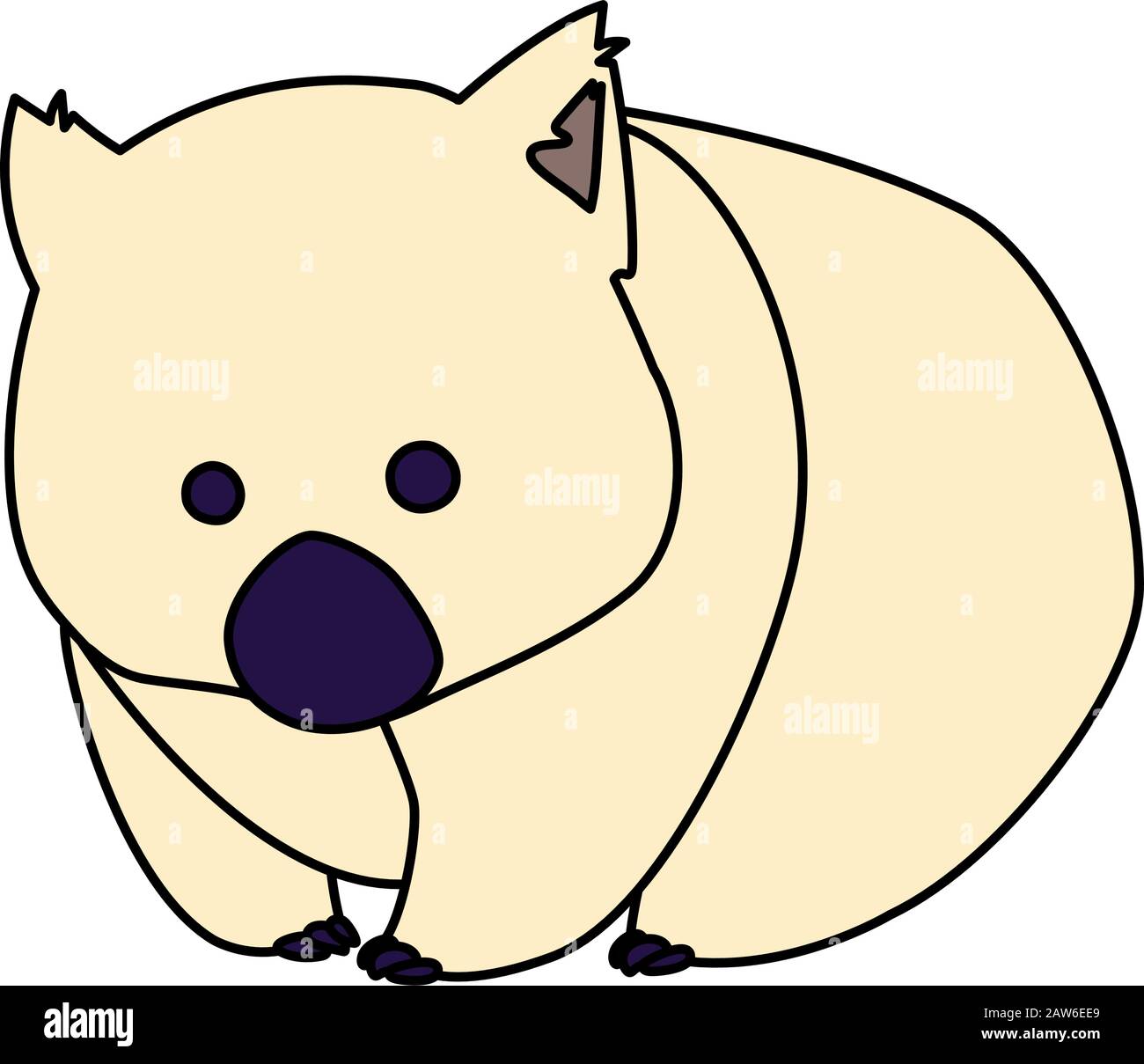 cute australian wombat on white background vector illustration design ...