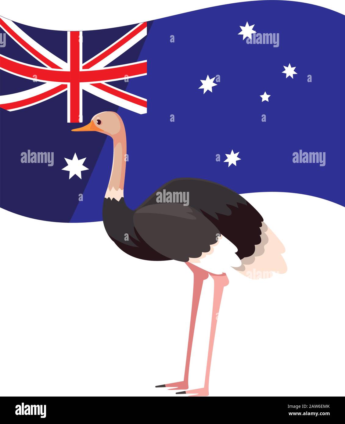 ostrich with australian flag in the background vector illustration ...