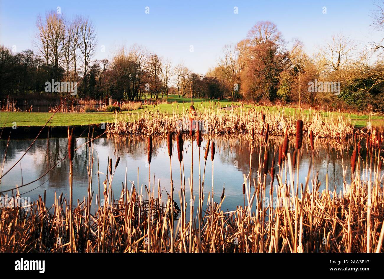 arrow valley country park redditch worcestershire england uk Stock ...