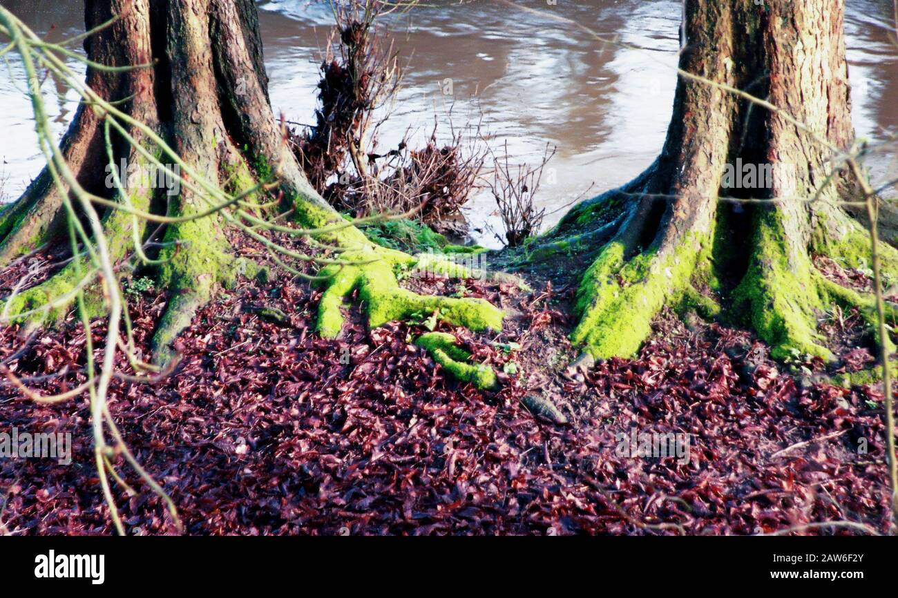 arrow valley country park redditch worcestershire england uk Stock ...