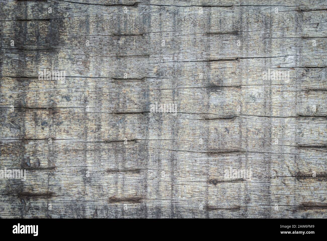 Old wood gray color abstract texture background Stock Photo - Alamy