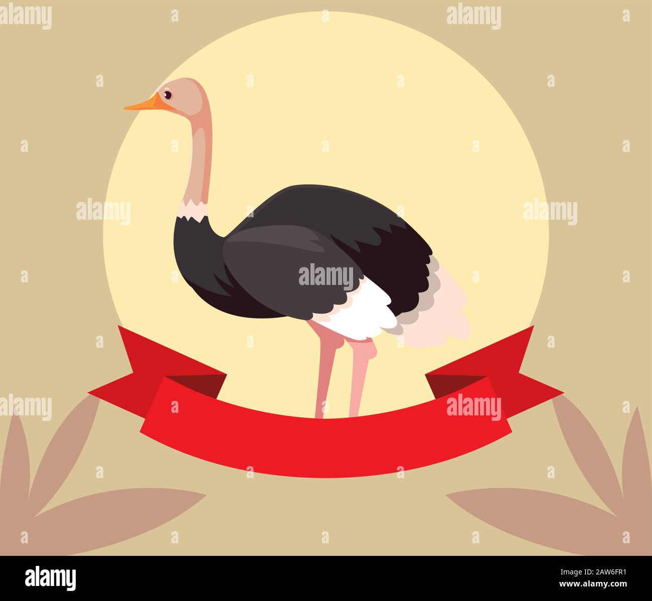 greeting card with australian ostrich vector illustration design Stock ...