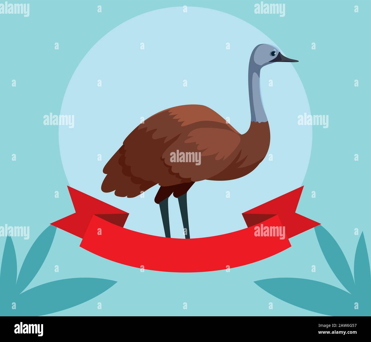 greeting card with australian emu vector illustration design Stock ...