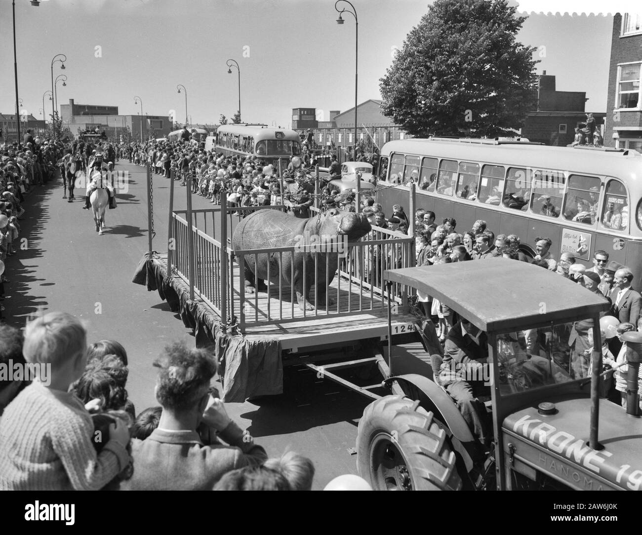 Procession Circus Krone by Amsterdam, hippopotamus Date: June 20, 1959 ...