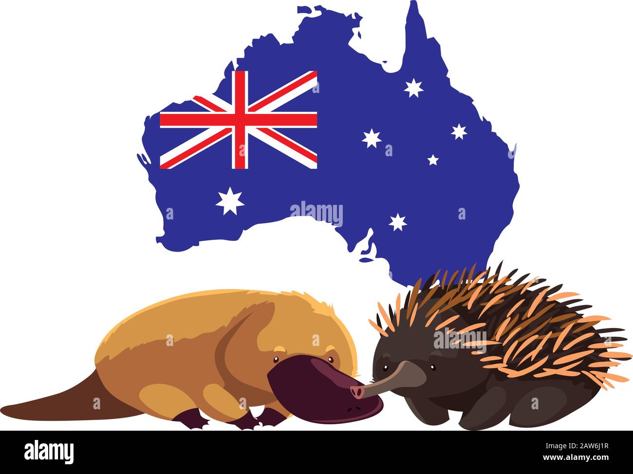 platypus and echidna with map of australia in the background vector ...