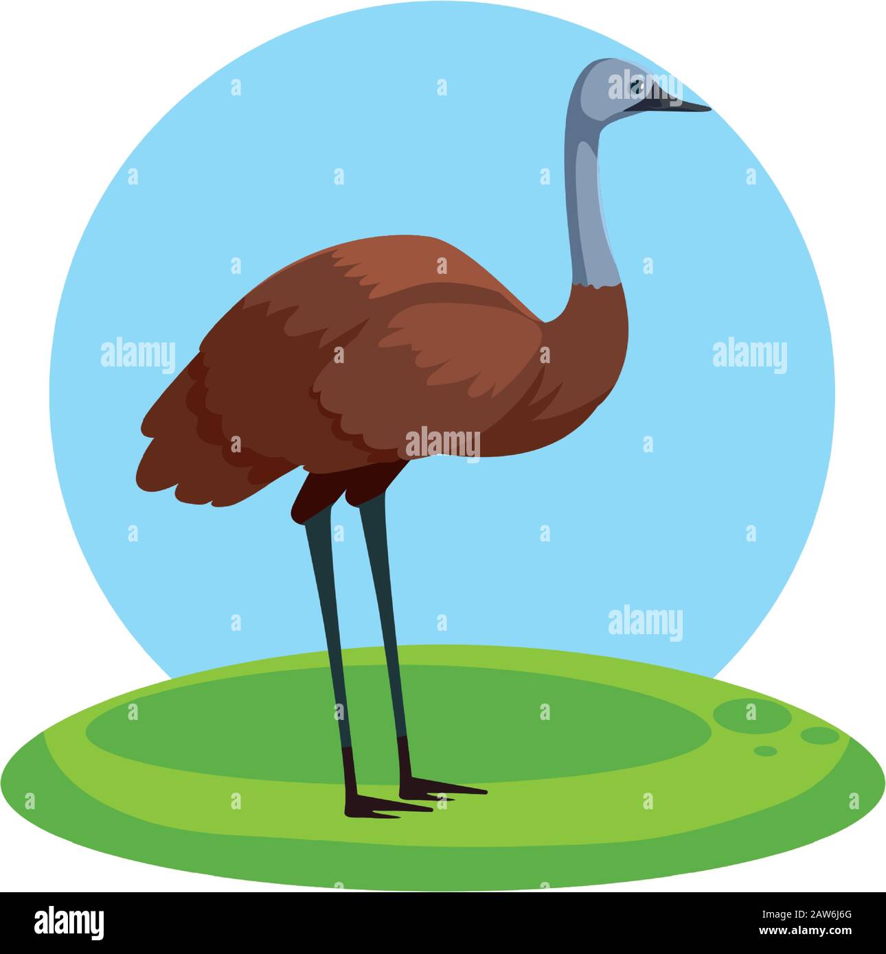 cute emu with background landscape vector illustration design Stock ...