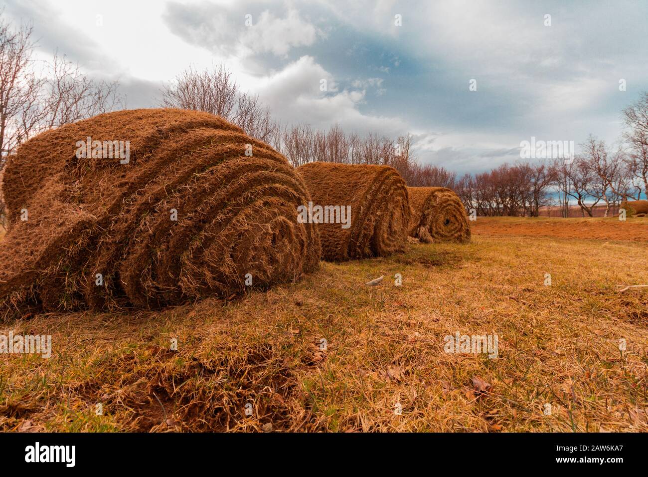 Hay roll from low angle with cloudy blue sky on the field surrounded by ...