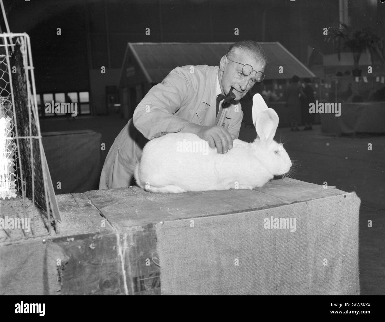 Ornithophilia hi-res stock photography and images - Alamy