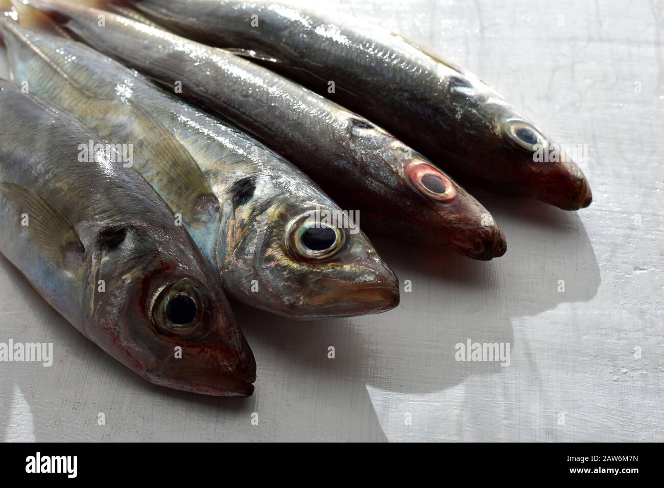 Closeup of Fresh Saba fish (Mackerel) isolated on white background ...