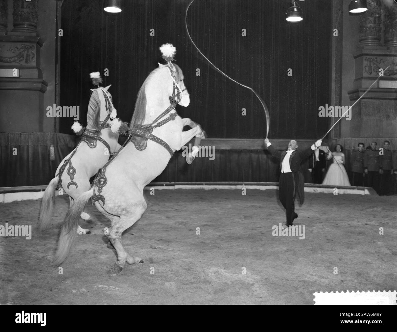 Premiere Circus Strassburger Carre Amsterdam dressage Date: December 23 ...