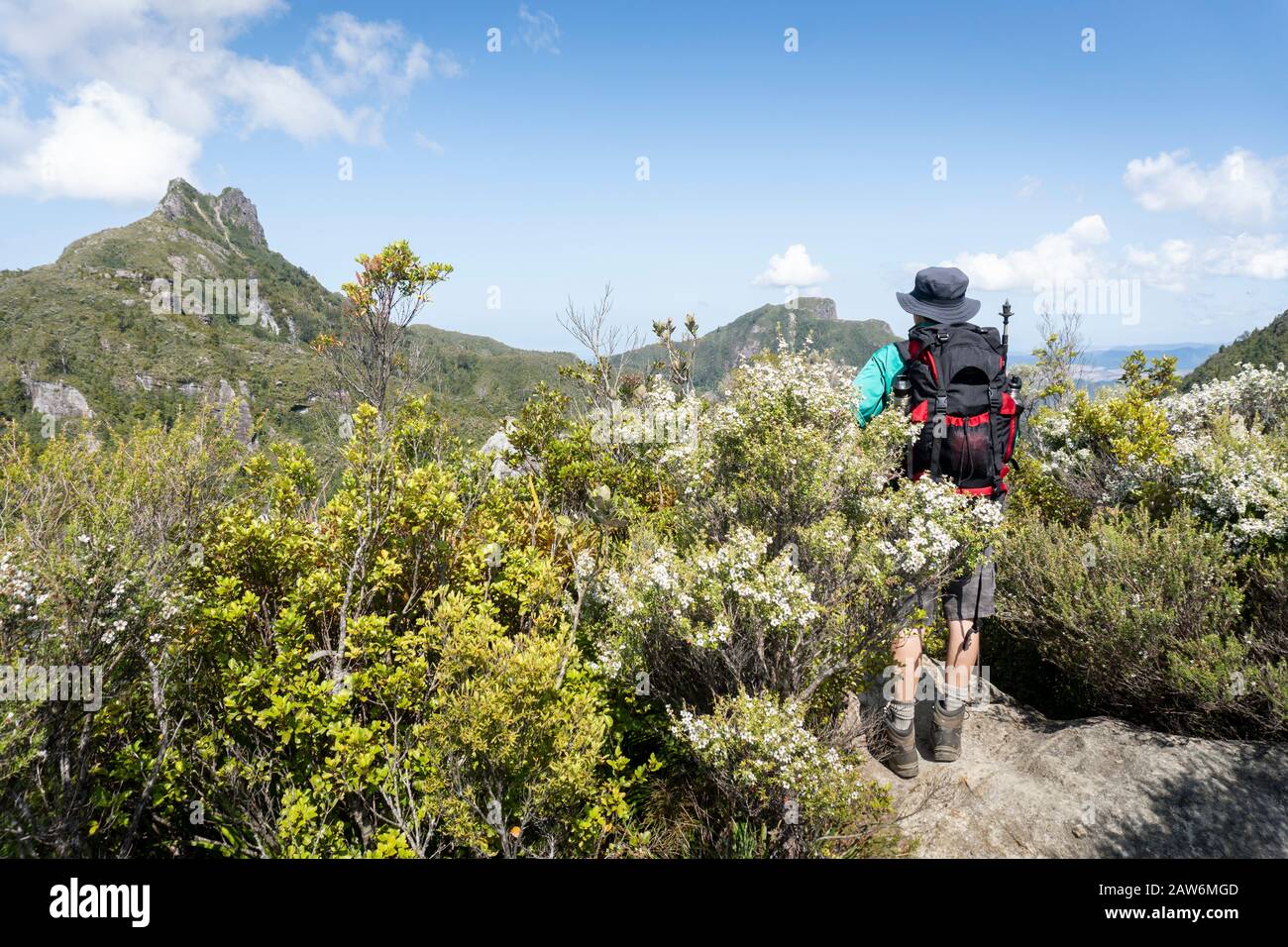 The pinnacles track, coromandel hi-res stock photography and images - Alamy