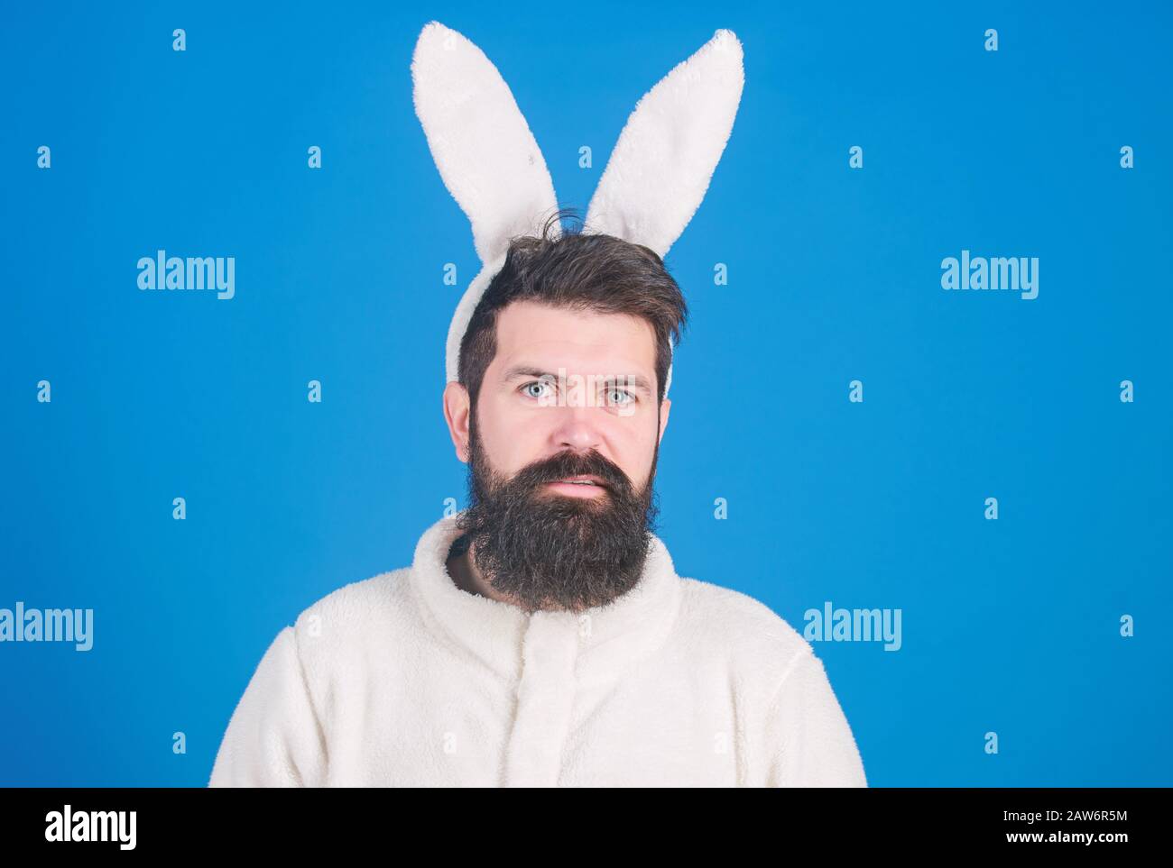 Easter bunny. Man wearing bunny plush suit. Funny bunny man with beard and mustache. Easter ...