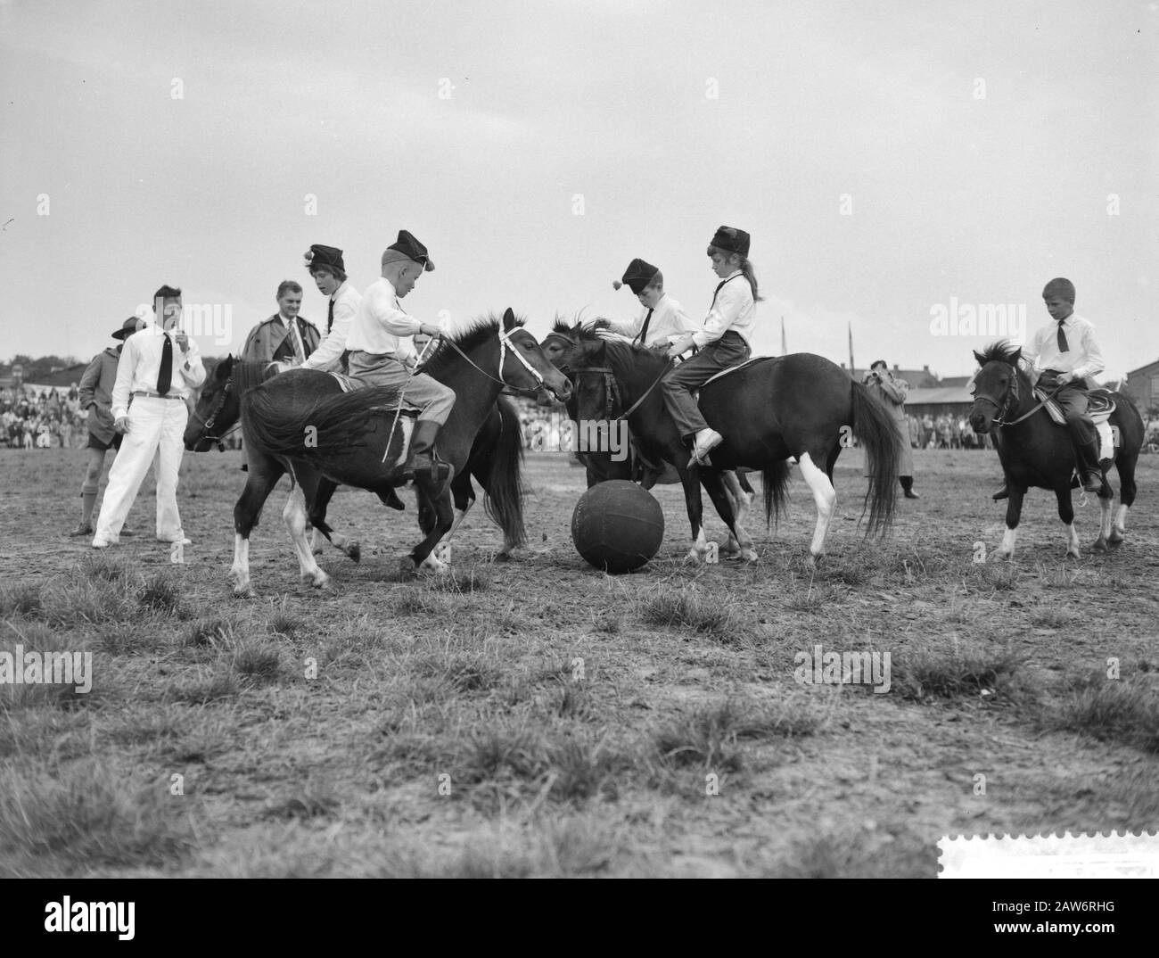 Pony football Breda Date: July 31, 1960 Location: Breda Keywords: PONYS ...