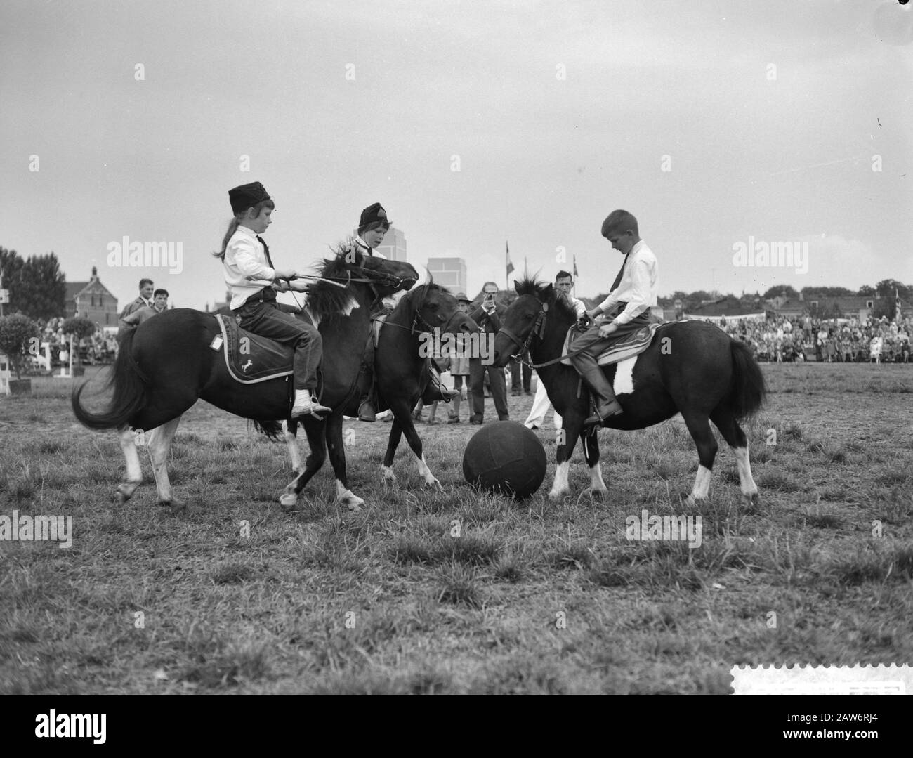 Pony football Breda Date: July 31, 1960 Location: Breda Keywords: PONYS ...