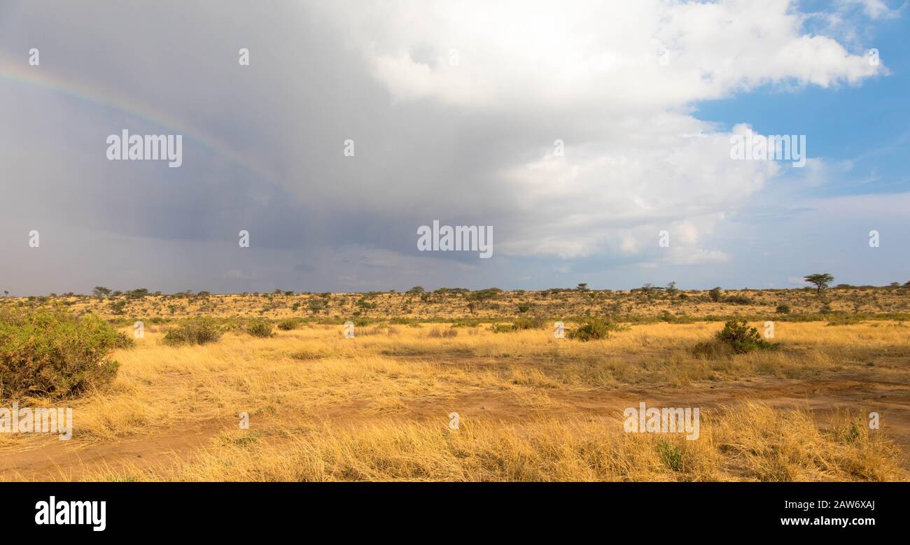 Panorama photo of desert landscape in Kenya Stock Photo - Alamy