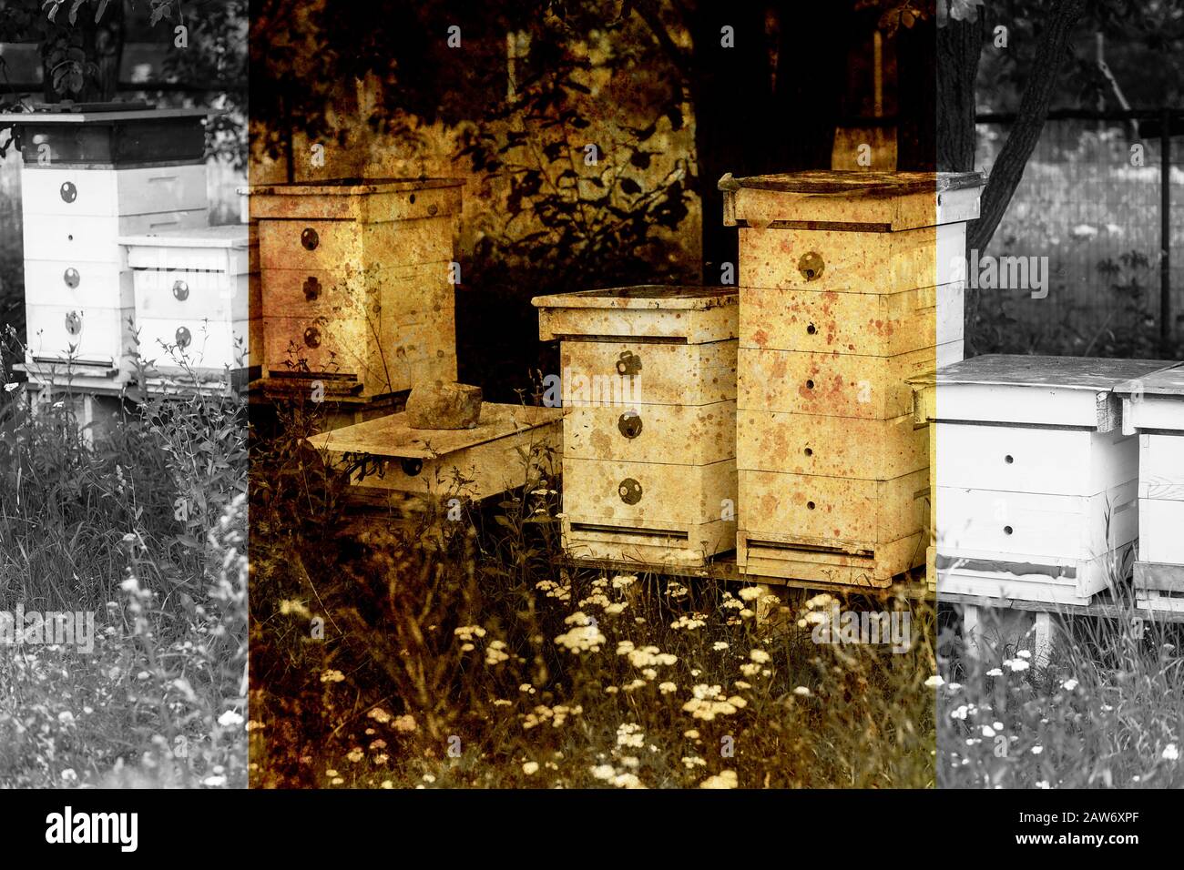 White hives of bees in the apiary and old photos effect with border ...