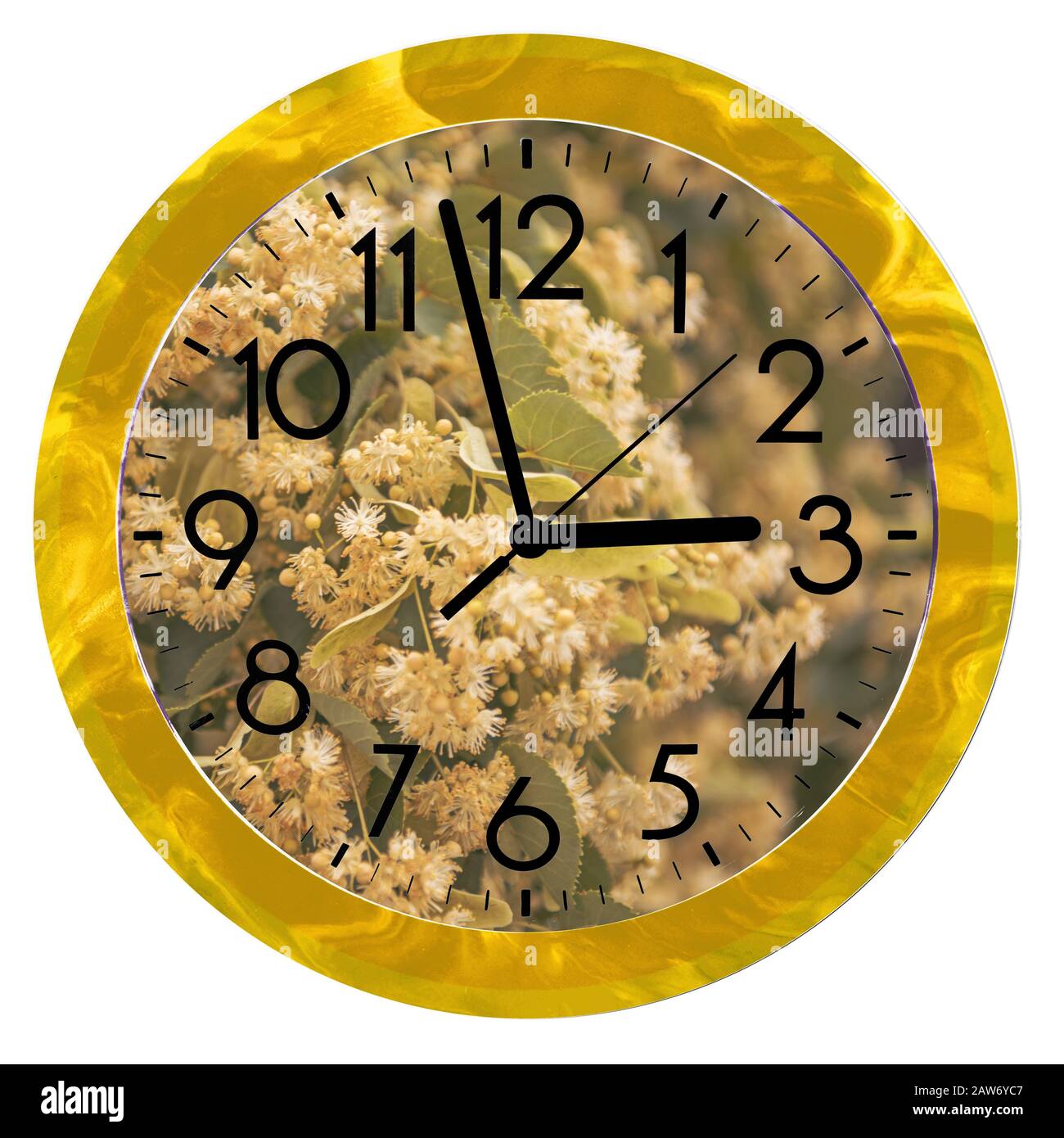 Daylight Saving Time (DST). Wall Clock going to summer time (+1). Turn ...