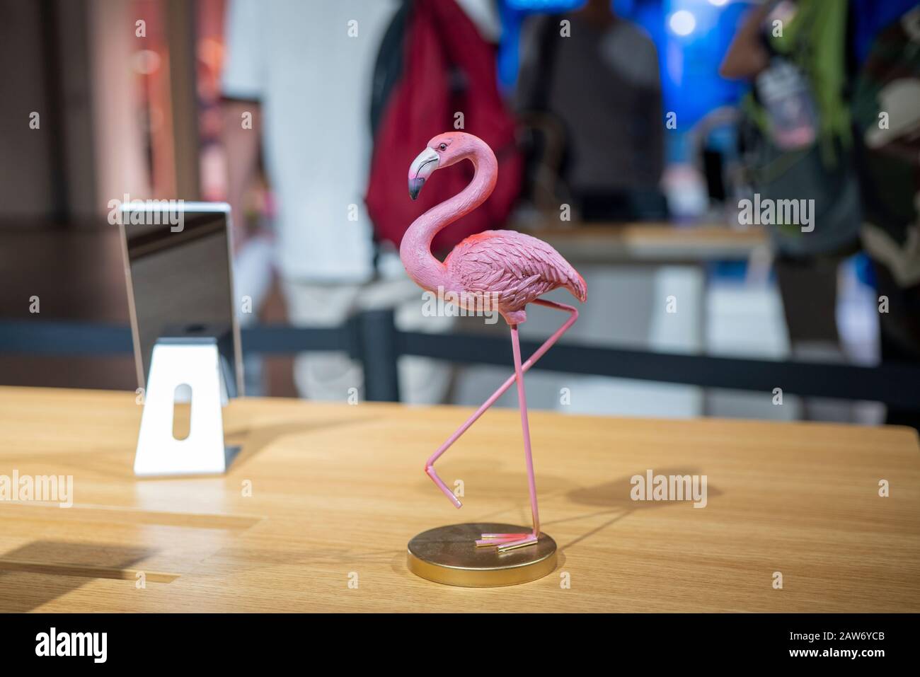 Pink flamingo on hi-res stock photography and images - Alamy