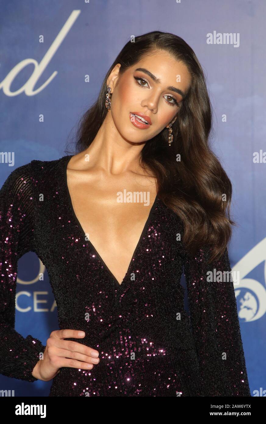 Beverly Hills, California, USA. 6th Feb, 2020. Anna Avila. 2020 ...