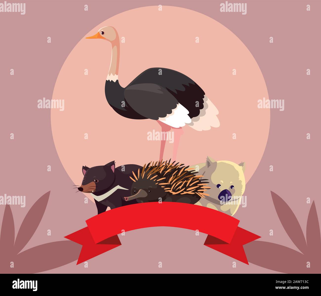 cute card with native animals of australia vector illustration design ...