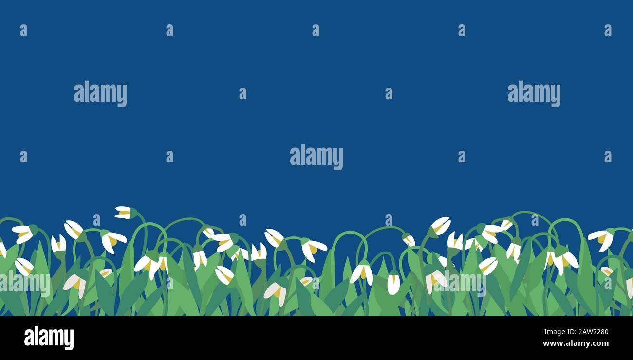 Classic border plant hi-res stock photography and images - Alamy